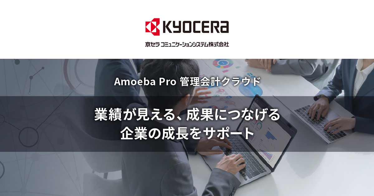 Amoeba Pro 管理会計クラウド｜KCCS